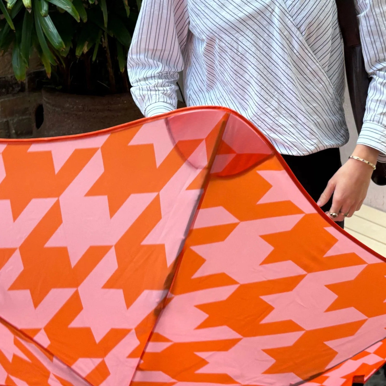 Limited Edition / Classic / Houndstooth Candy / MOQ 3 – Ethos Brands